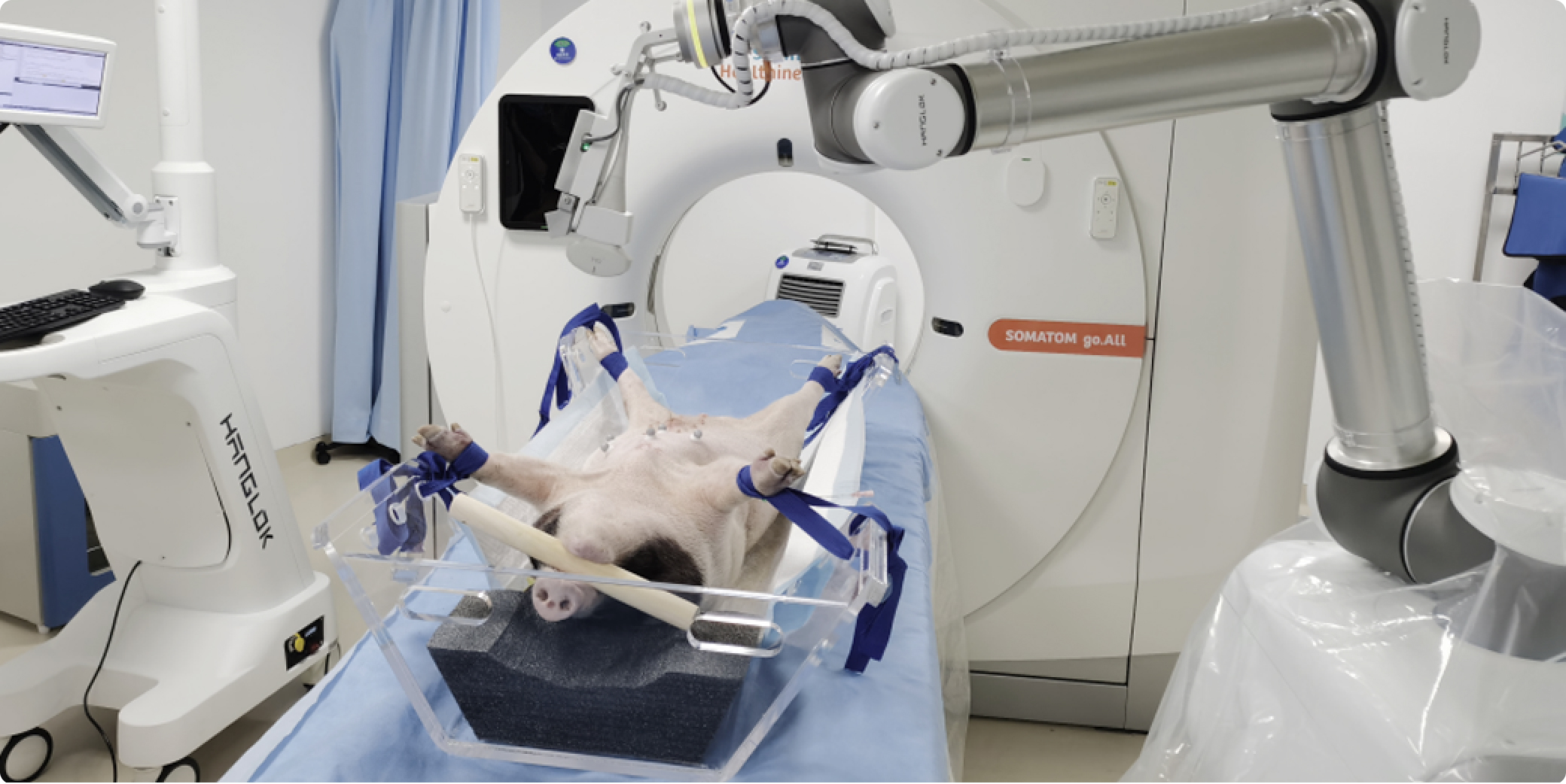 Contact Us - Discover SGNIO - SGNIO - Percutaneous intervention - Products - HANGLOK-TECH